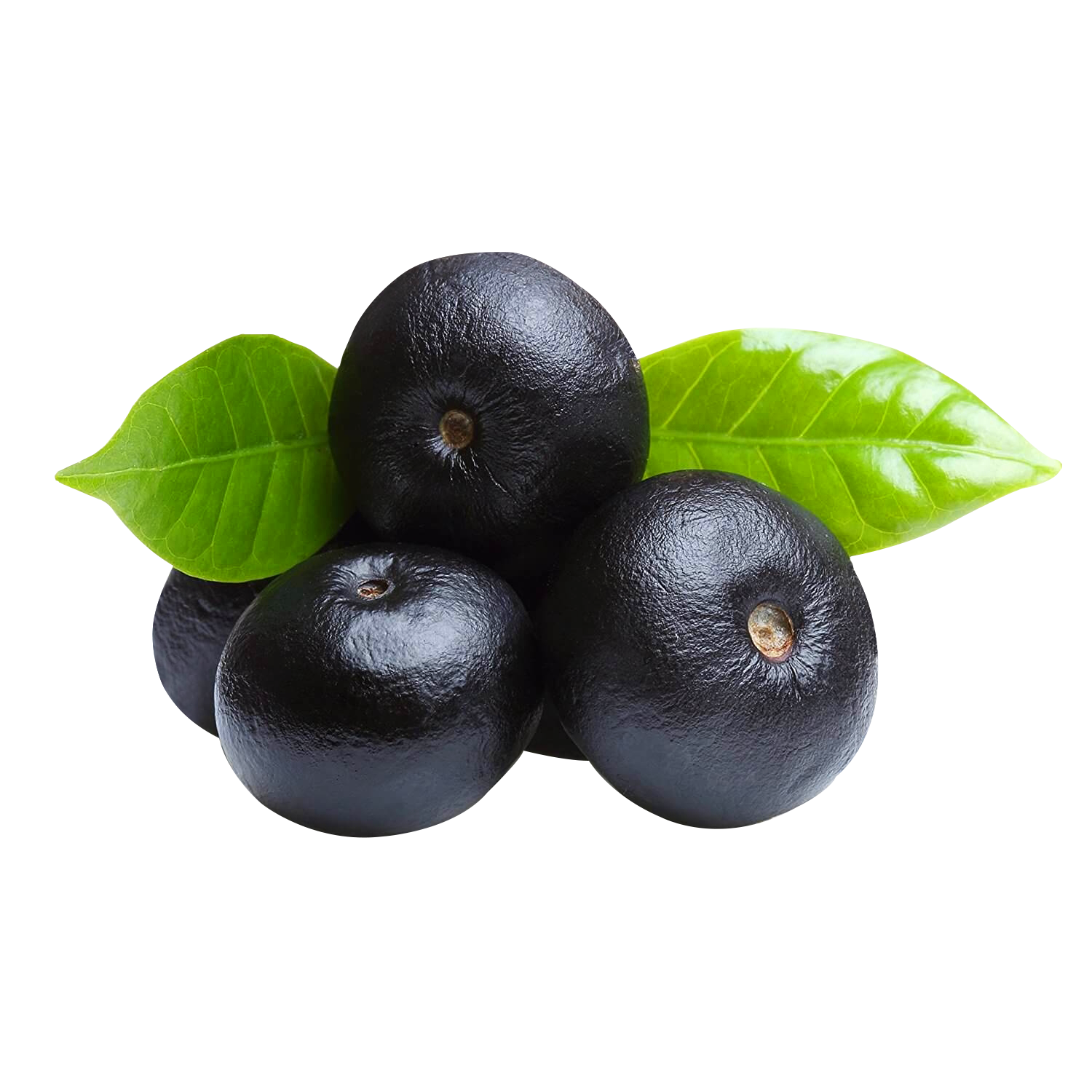 Maqui: el fruto de los mapuches con grandes poderes curativos – Emaqui ...